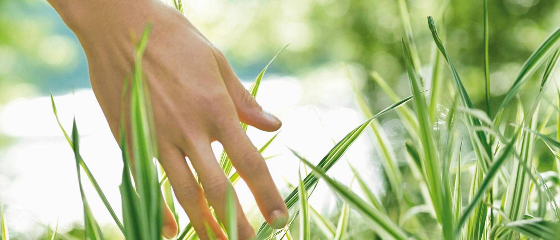 Le label NATRUE certifie les cosmétiques naturels et bio